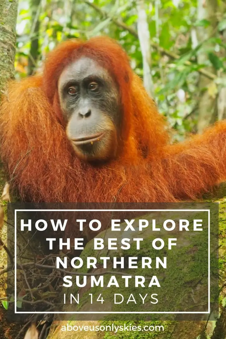 How To Explore The Best Of Northern Sumatra In 14 Days