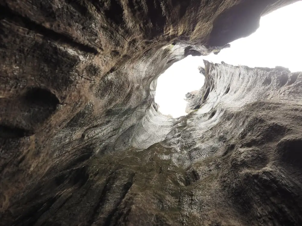 The Giant Trees Of Sequoia National Park