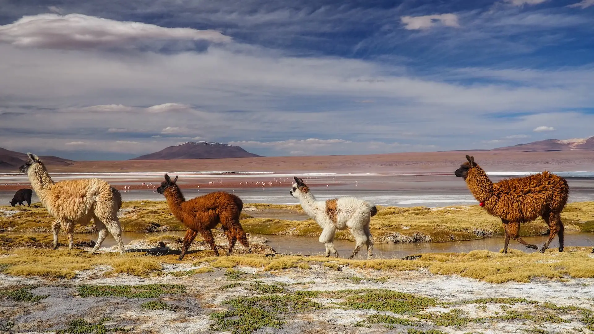 A Virtual Journey Through The Andes Mountains