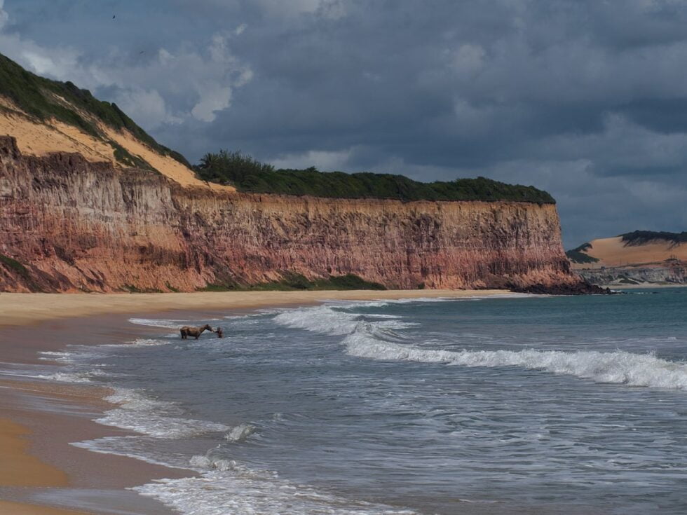 The Magnificent Beaches Of Pipa Brazil: A Complete Guide