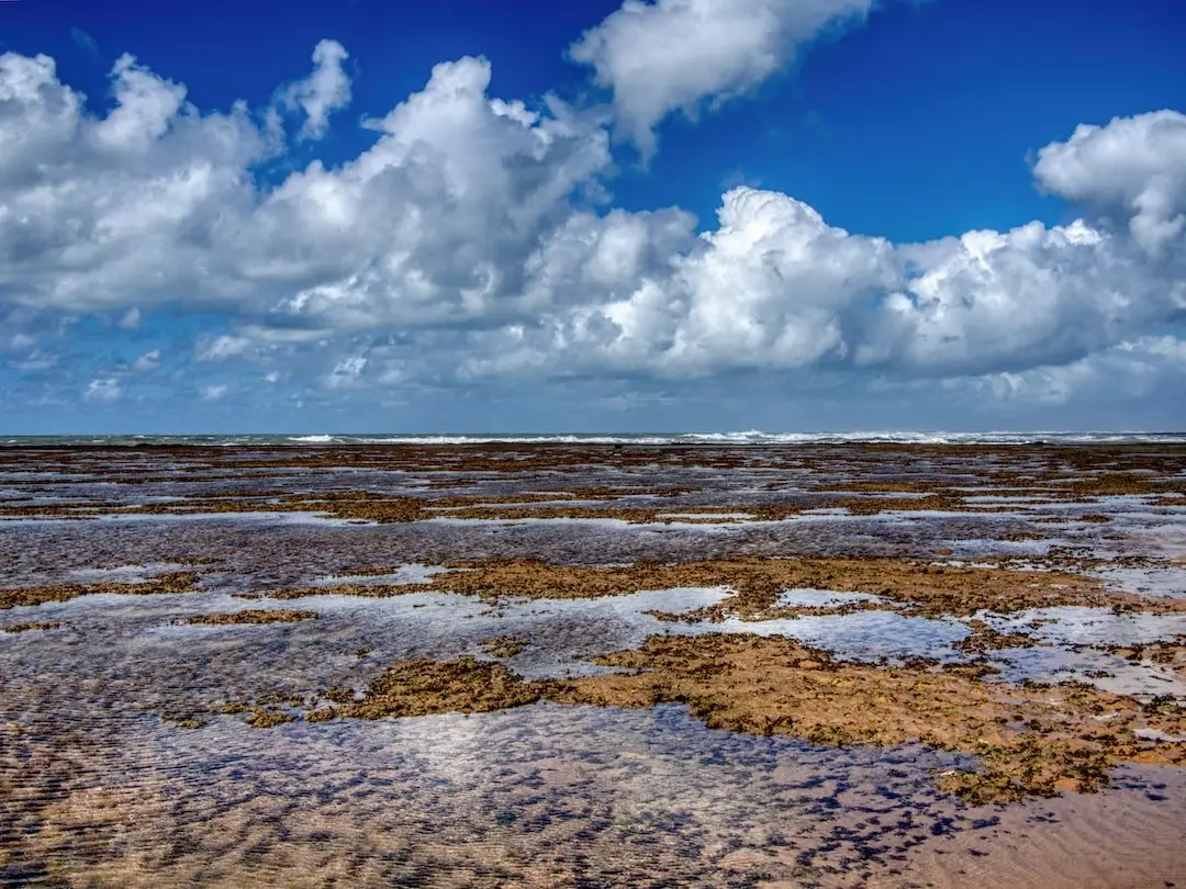 The Incredible Taipu de Fora & Marau Peninsula
