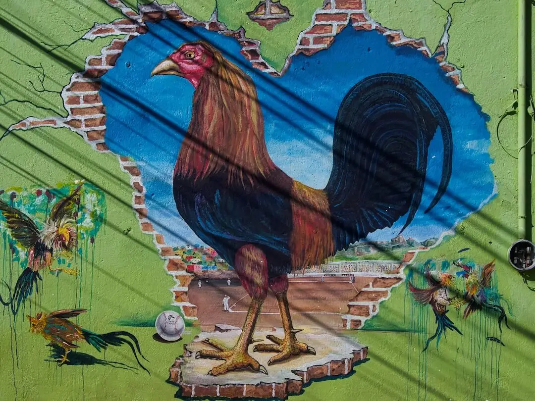 A Celebration Of Latin American Street Art