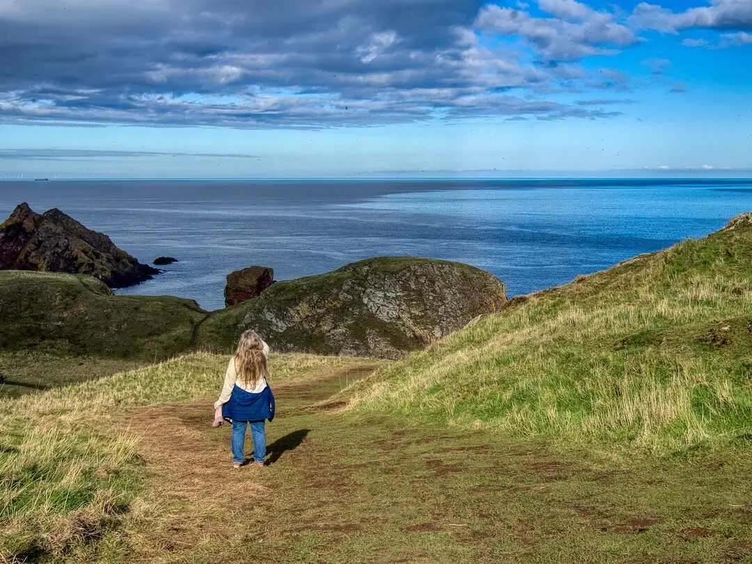 The Magnificent St Abbs Head Walk: Everything You Need To Know