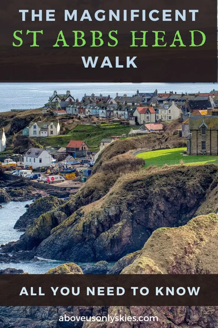 The Magnificent St Abbs Head Walk: Everything You Need To Know
