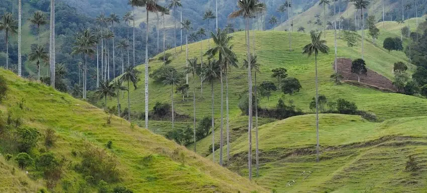 Salamina & The Samaria Valley - Colombia's Best Kept Secret